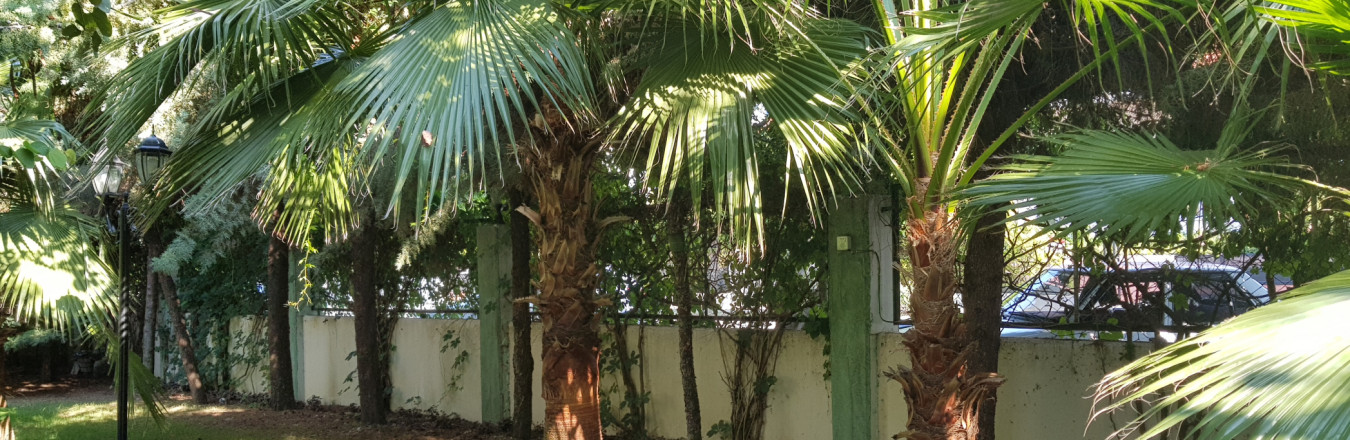 Meine Hotelempfehlung für die Türksiche Riviera - Hotel Side Breeze